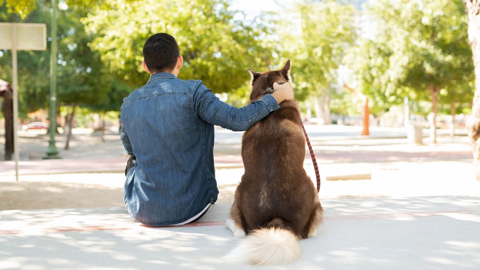 Signs You're Not the Best Candidate for Dog Ownership – Petzyo