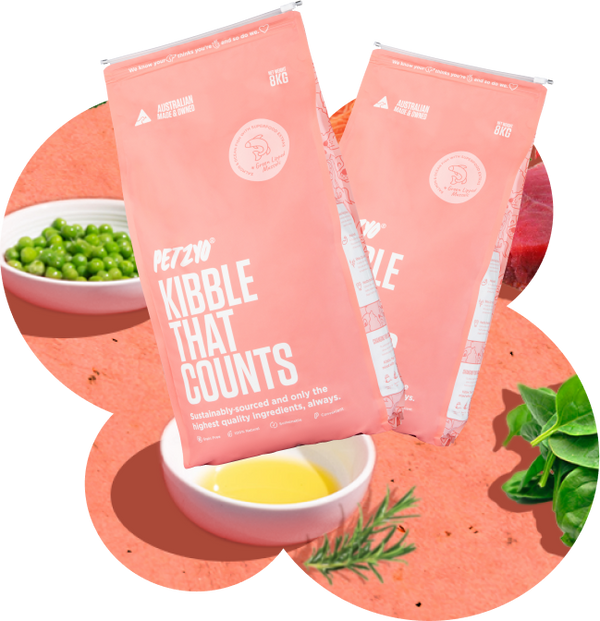 8kg of Kibble That Counts - Salmon and Ocean Fish with Green Lipped Mu ...