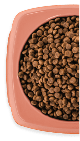 16kg of Kibble That Counts - Salmon and Ocean Fish with Green Lipped M ...