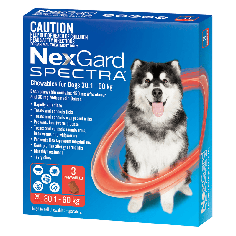 Nexgard Spectra Large Dog (15.1-30kg): 3 Pack – Petzyo